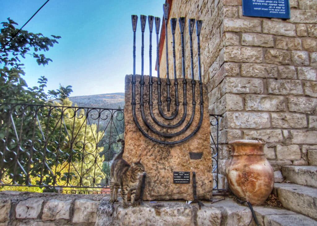 Rosh Pina | Danny The Digger